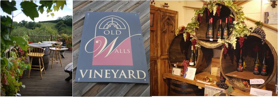 A Tipple of Devon - a tour of the local vineyards, guest post by Liz ...