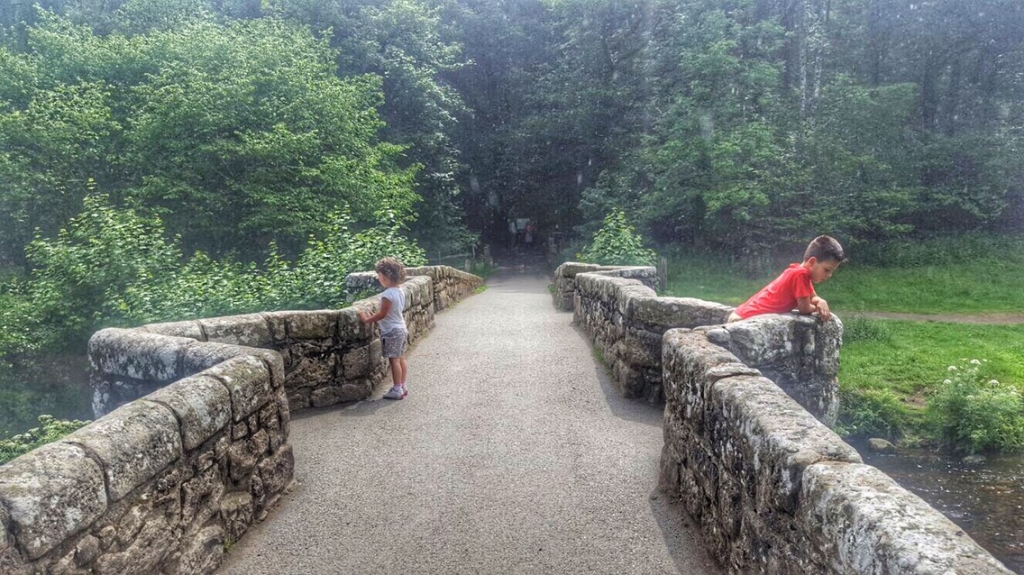 Fingle Bridge & Fingle Woods, Dartmoor - Exploring Exeter and ...